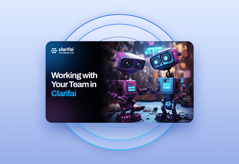 Ai Lake™ All Your Ai Assets In One Place Clarifai