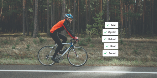 5 Ways to Make Digital Asset Management Easier With AI | Clarifai