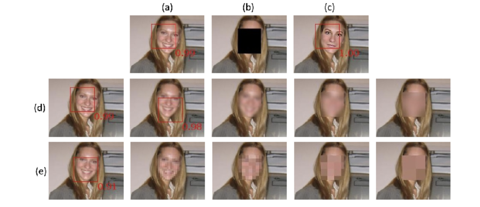 Facial Redaction: What it is and how you can use it