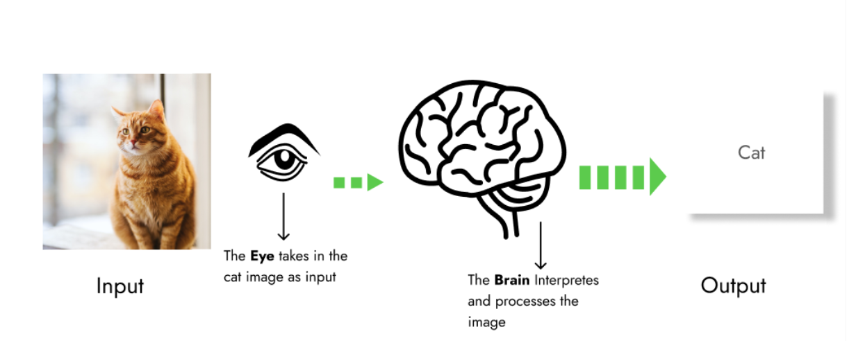 What Is Computer Vision And How CV Works | Clarifai