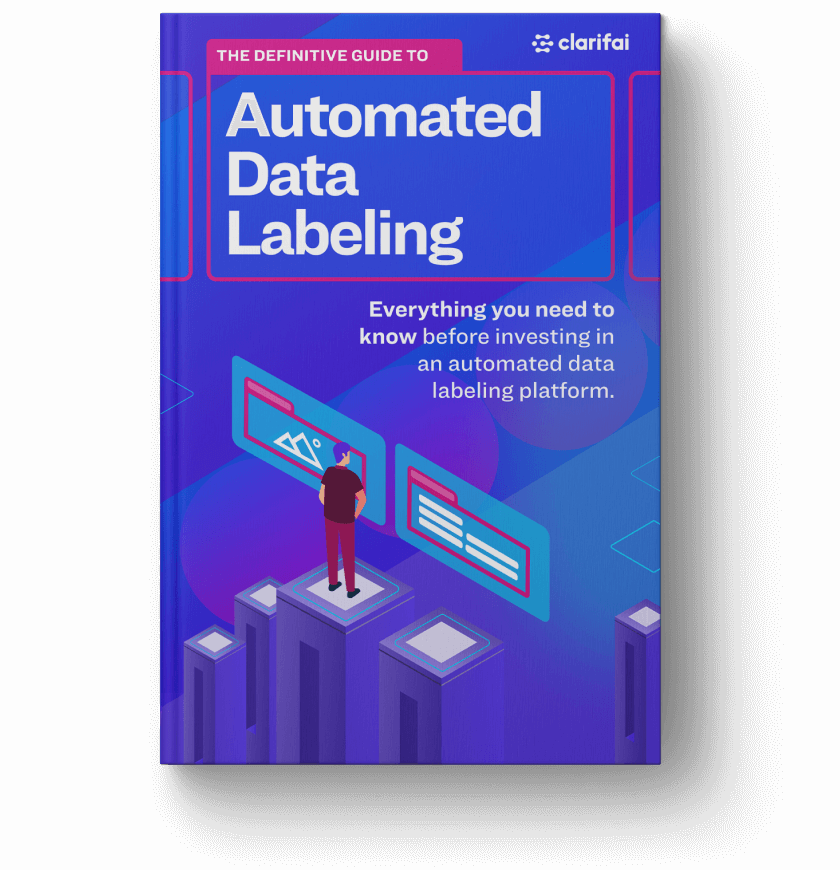 The Definitive Guide to AI-Automated Data Labeling