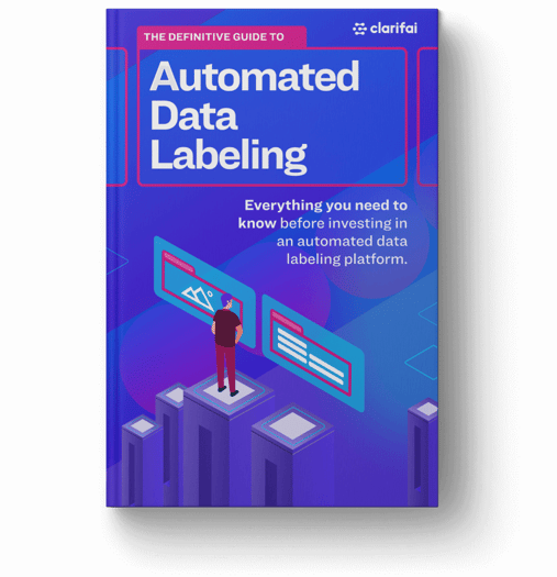 The Definitive Guide To Ai Automated Data Labeling