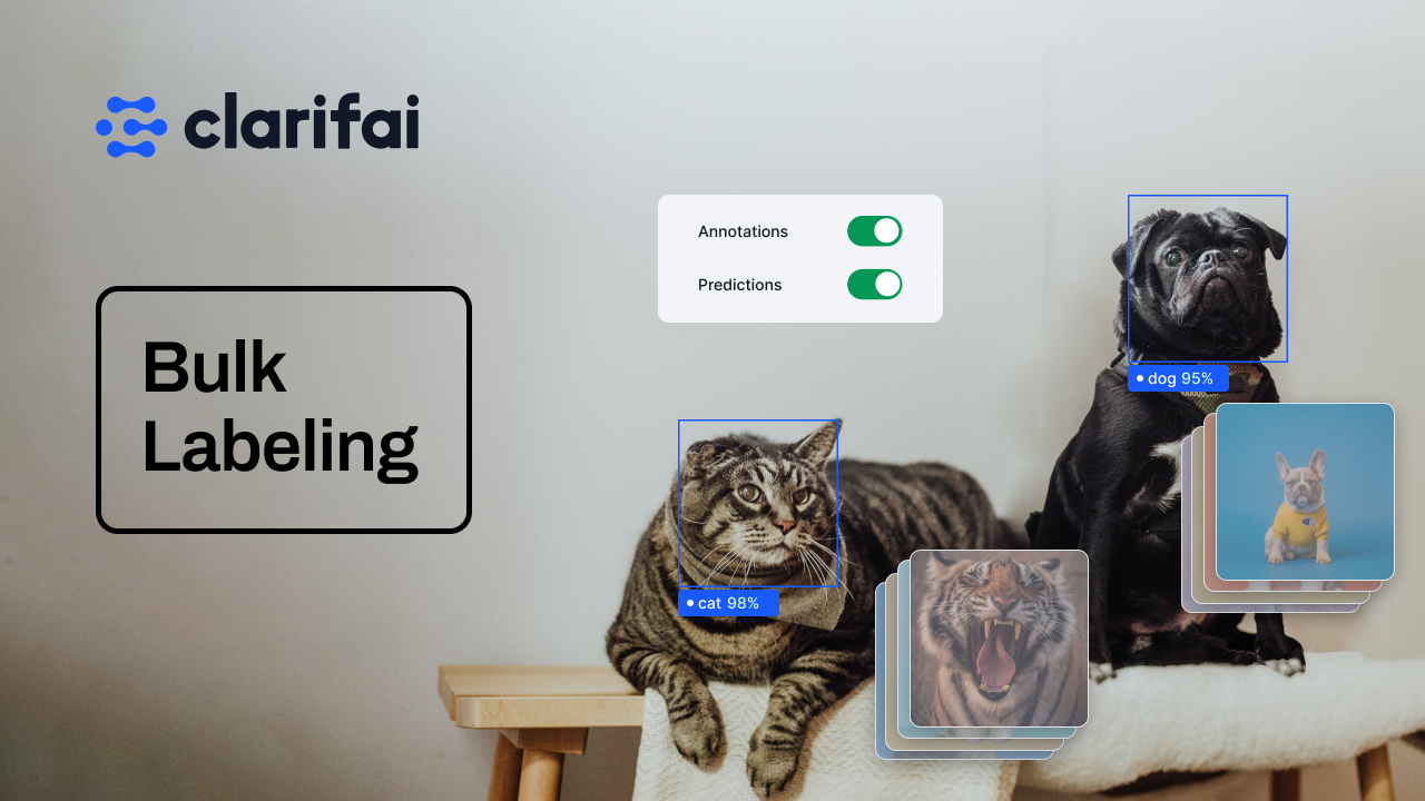 Bulk labeling the fast and easy way